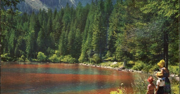 Tutto quello che avreste sempre voluto sapere sul rosso del lago rosso
