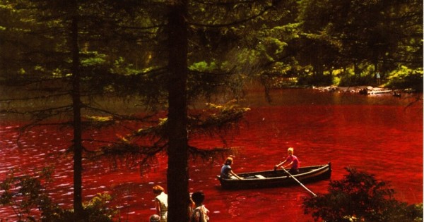 Tutto quello che avreste sempre voluto sapere sul rosso del lago rosso