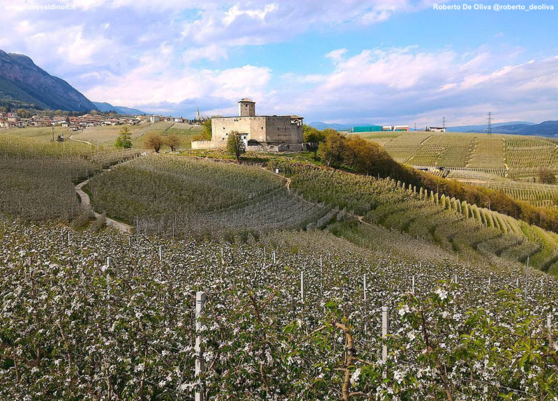 3 cose belle da sapere su Castel Belasi > I Love Val di Non