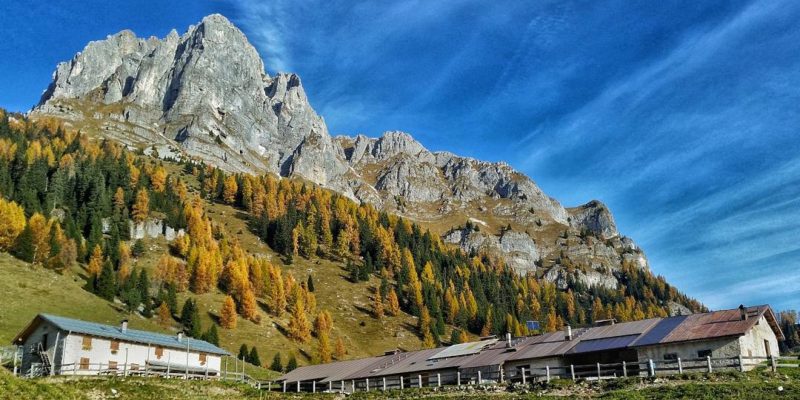 5 itinerari che vi faranno innamorare della valle di Tovel