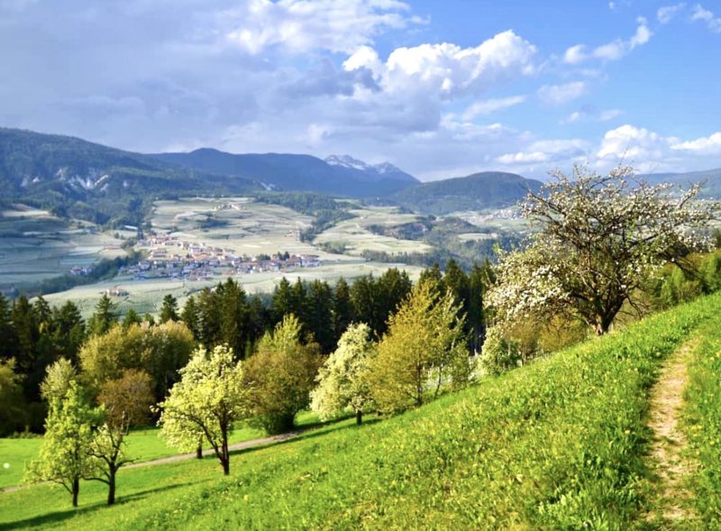 Lez di Dambel. Una passeggiata sulle tracce dell'acqua sotterranea