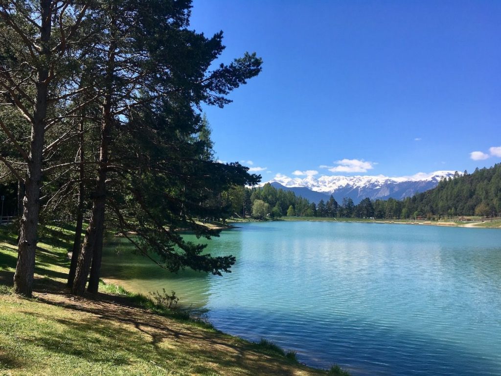 Il Viale dei Sogni. La passeggiata perfetta a Coredo in Val di Non