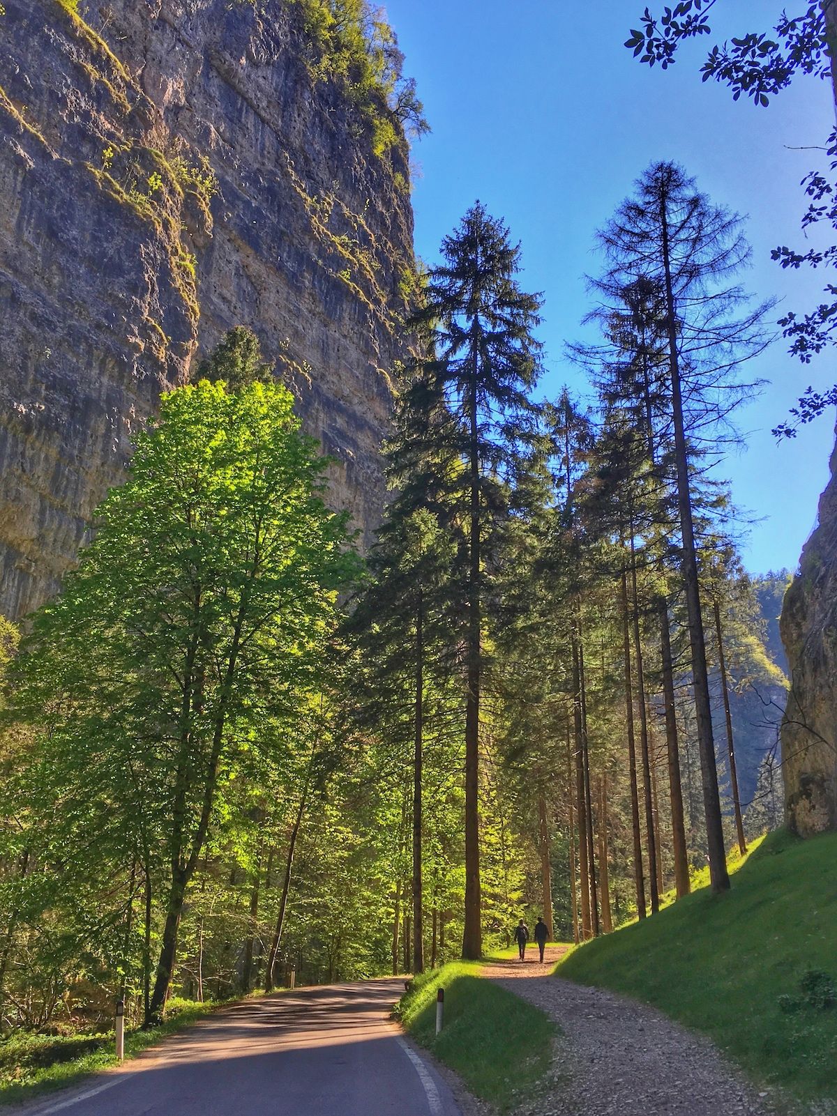 Il sentiero nella roccia per San Romedio, l’avventura che devi provare