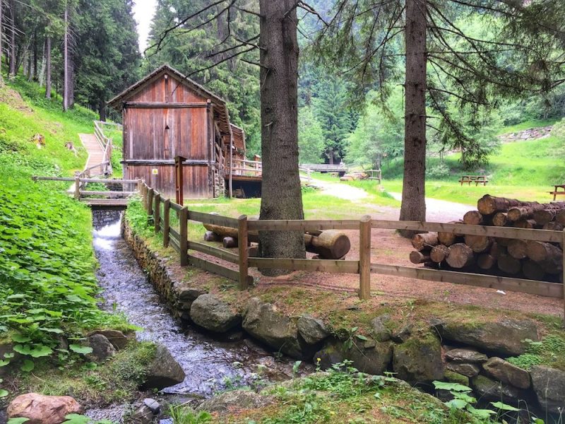 4 cose da fare in Val di Rabbi