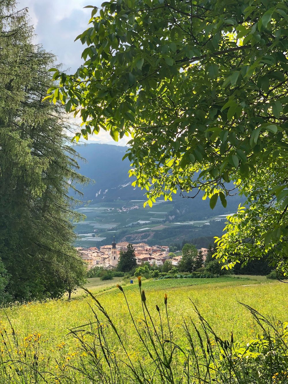 Passeggiata Sedruna. Giro nel bosco dal lago Smeraldo a Malosco