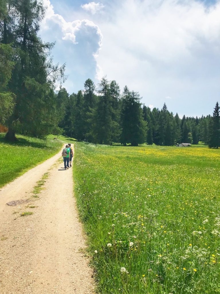 Le Regole di Malosco, un'oasi felice di montagna