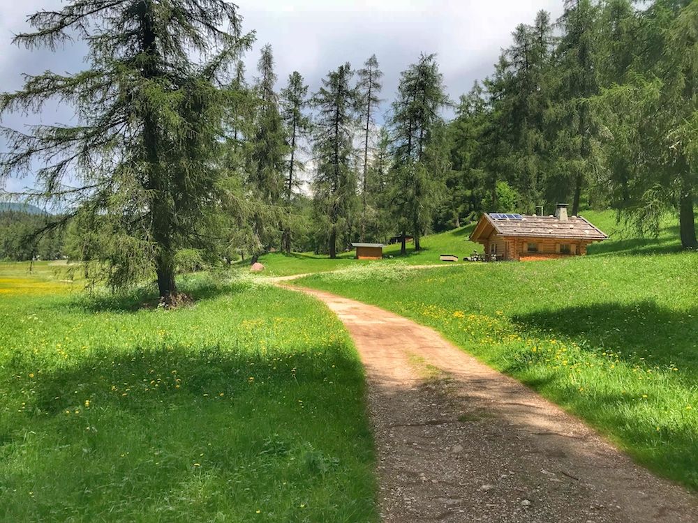 Le Regole di Malosco, un'oasi felice di montagna