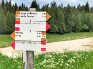 Le Regole di Malosco, un'oasi felice di montagna