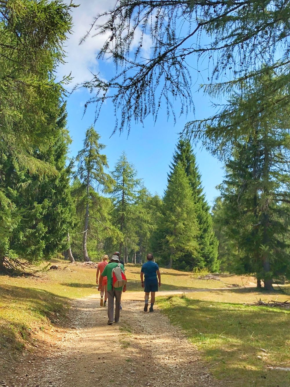 Passeggiata da malga Coredo al punto panoramico sulla Val d'Adige