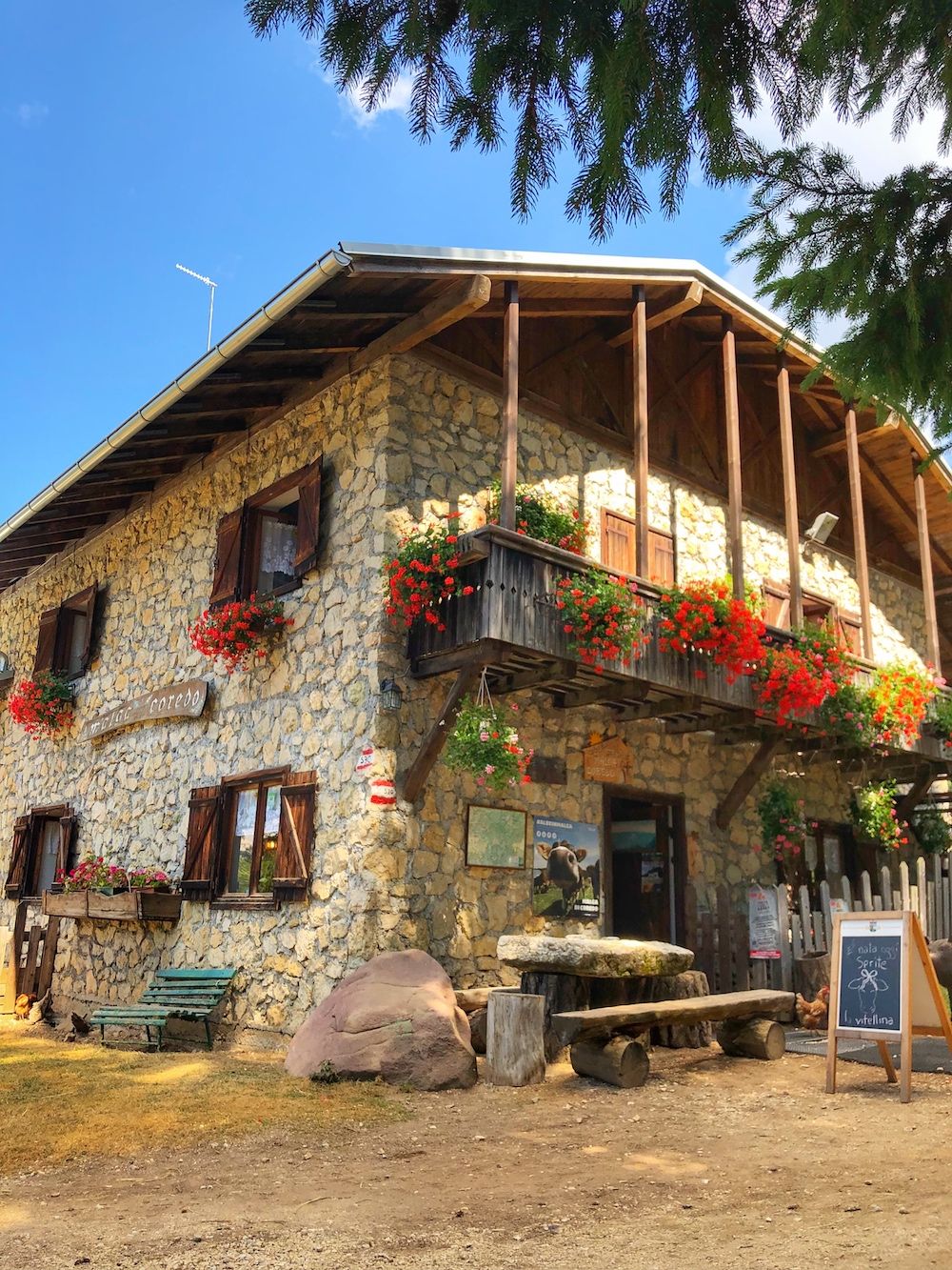 Passeggiata da malga Coredo al punto panoramico sulla Val d'Adige