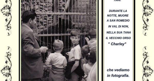 Quando l'orso Charlie arrivò a San Romedio, una storia di tanti anni fa