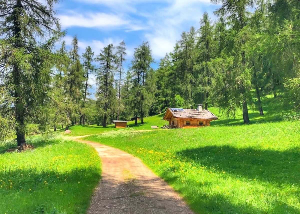 Le Regole di Malosco, un'oasi felice di montagna