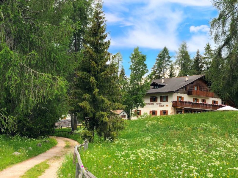 Le Regole di Malosco, un'oasi felice di montagna