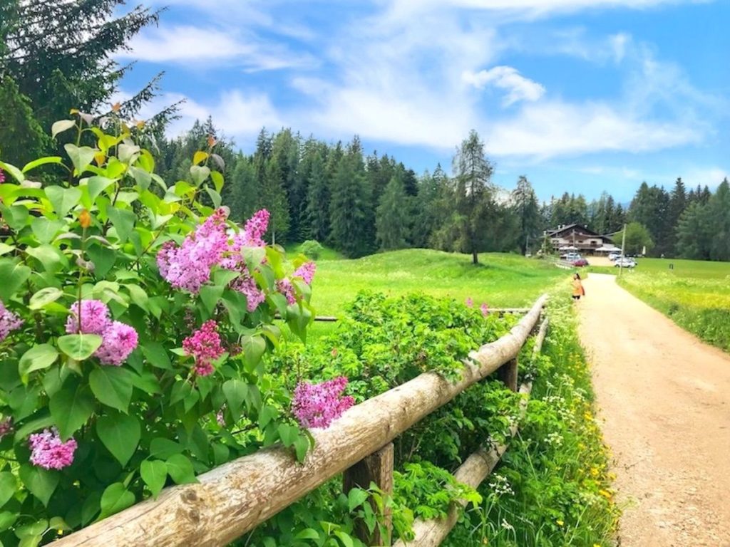 Le Regole di Malosco, un'oasi felice di montagna
