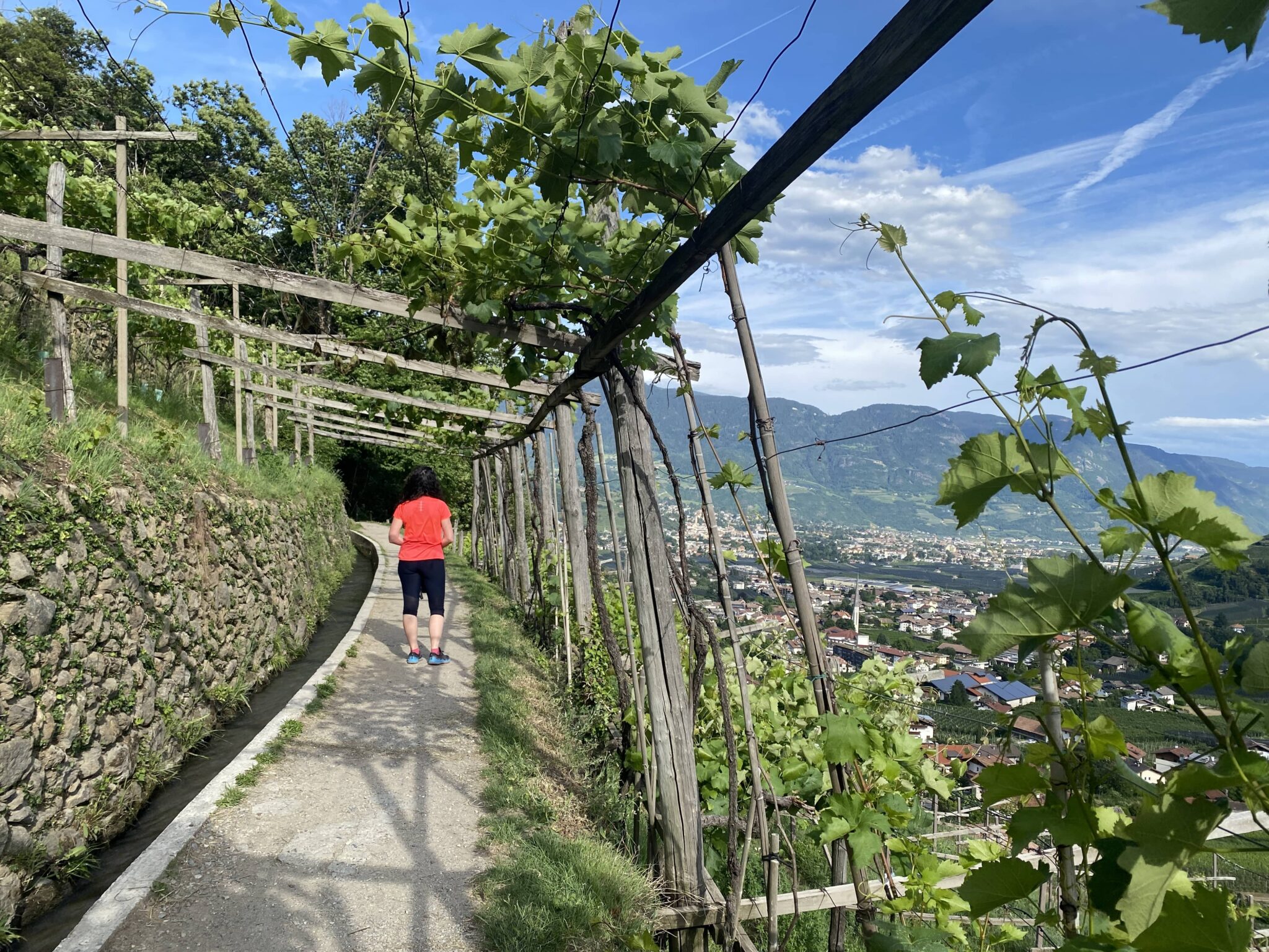 Il bellissimo Sentiero dell'acqua di Lagundo - Algunder Waalweg