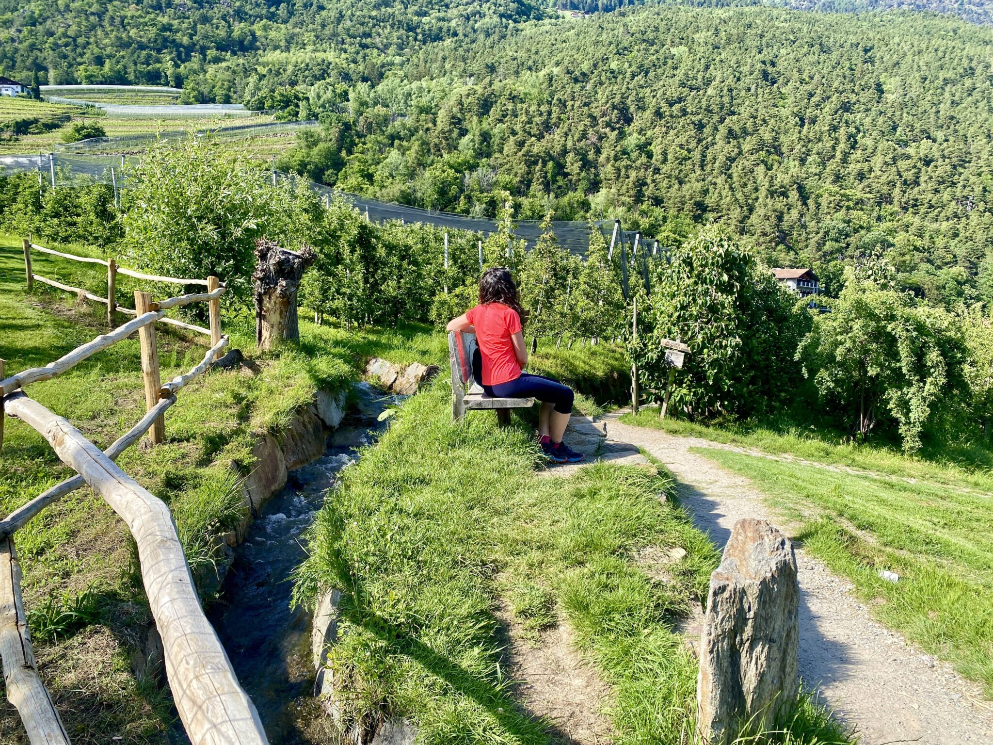Il bellissimo Sentiero dell'acqua di Lagundo - Algunder Waalweg