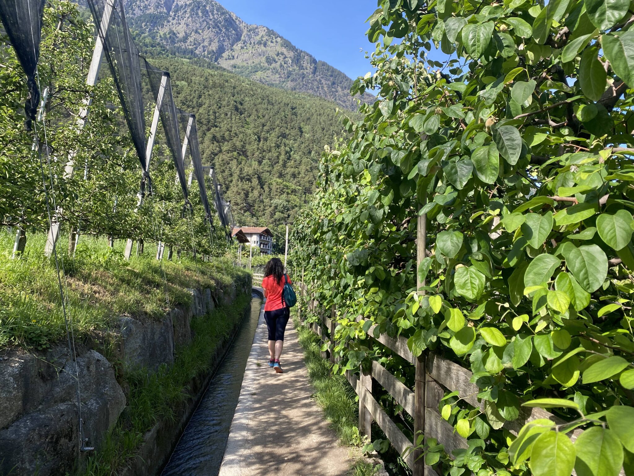 Il bellissimo Sentiero dell'acqua di Lagundo - Algunder Waalweg