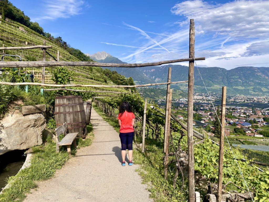 Il bellissimo Sentiero dell'acqua di Lagundo - Algunder Waalweg