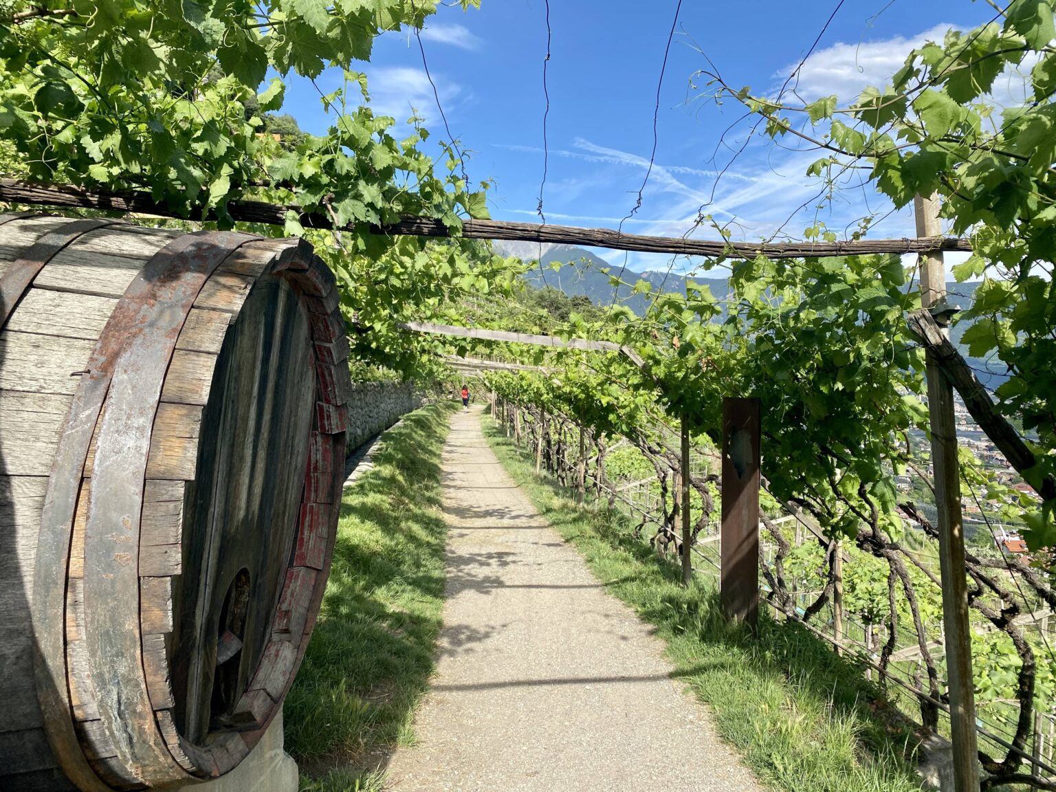 Il bellissimo Sentiero dell'acqua di Lagundo - Algunder Waalweg
