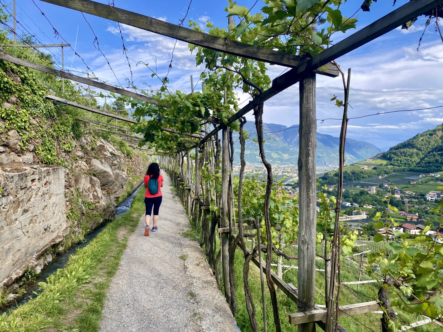 3 passeggiate facili in Trentino Alto Adige