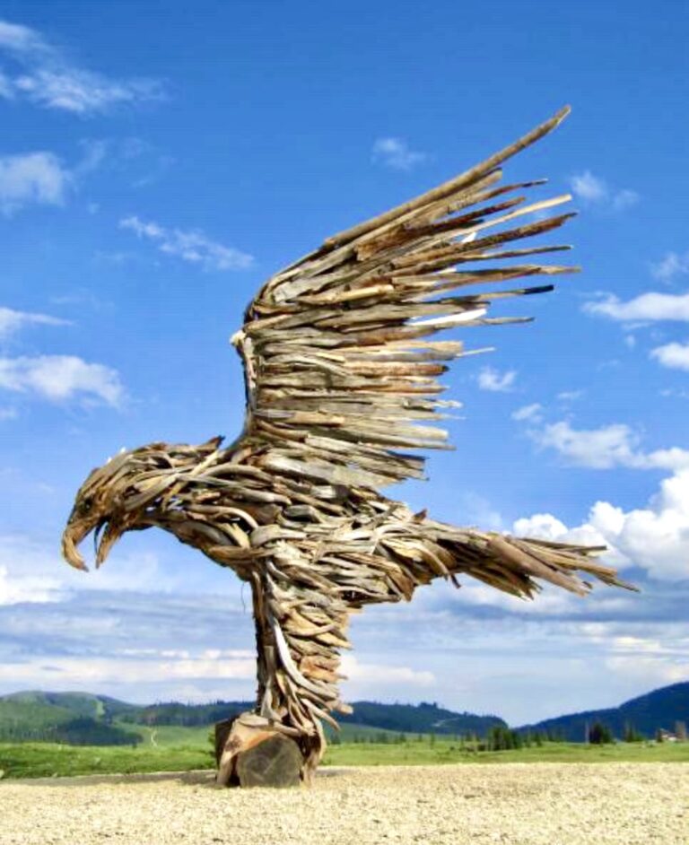 Dove si trova l'aquila di Vaia e come arrivarci