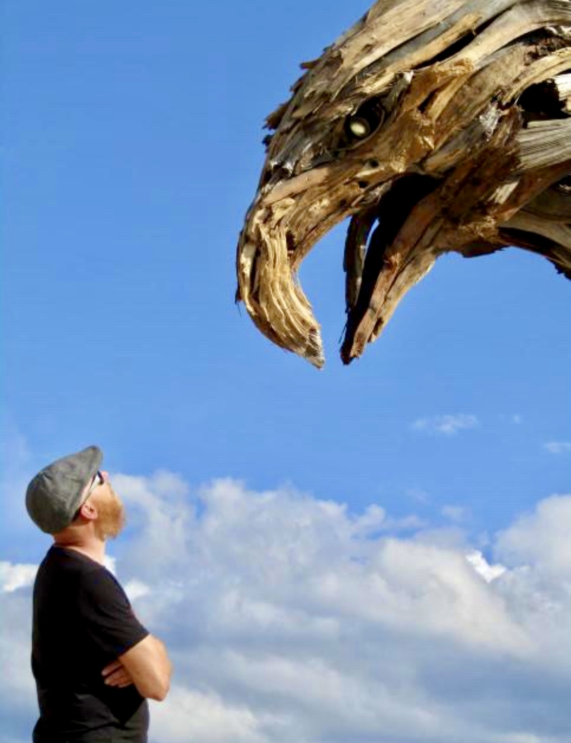 Dove si trova l'aquila di Vaia e come arrivarci