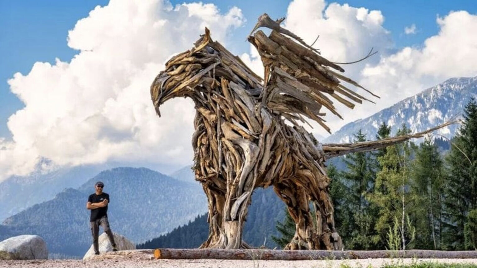 Tutti gli animali di Vaia da vedere in Trentino