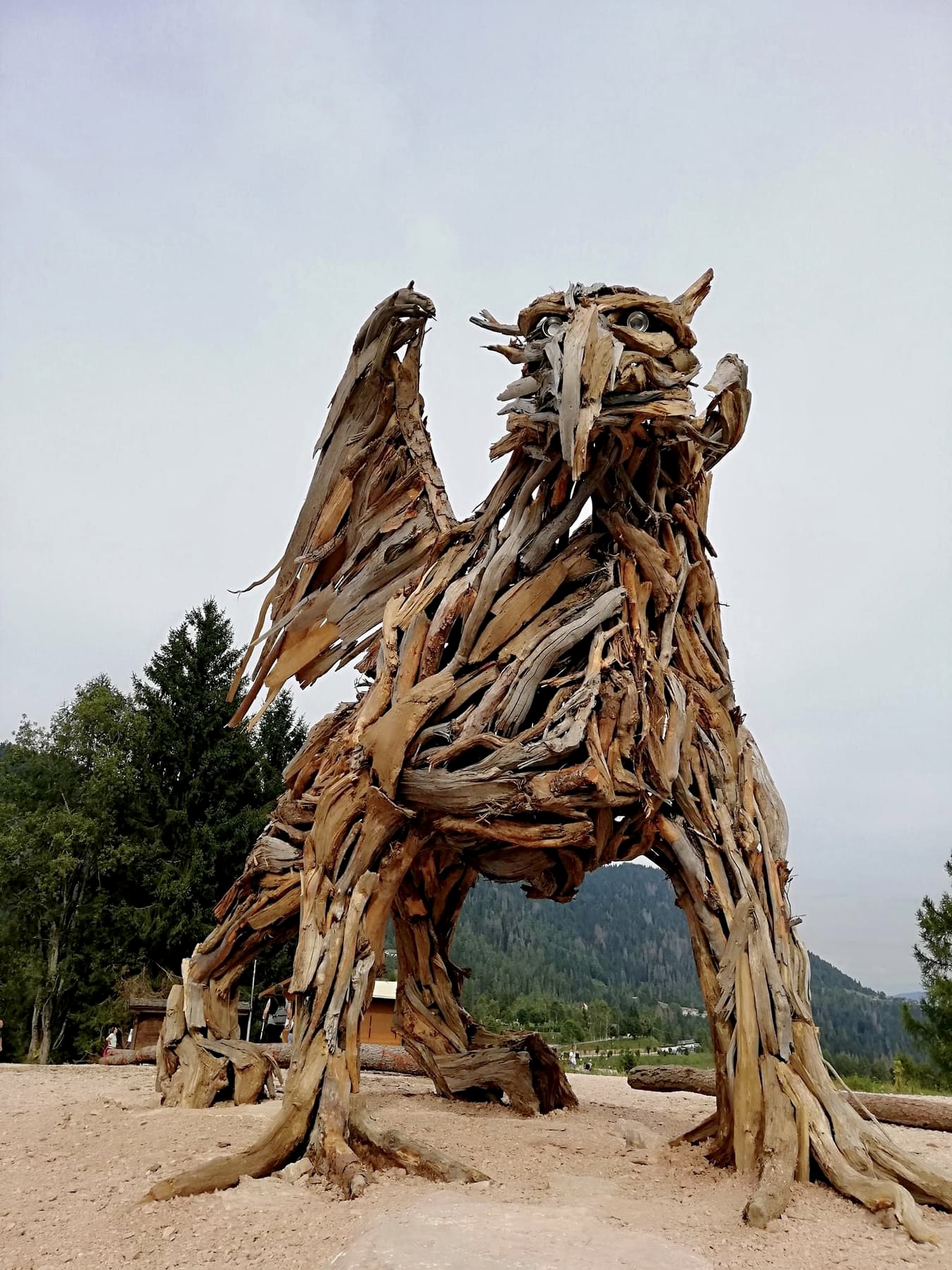 Come arrivare al Grifone di Vaia del Tesino