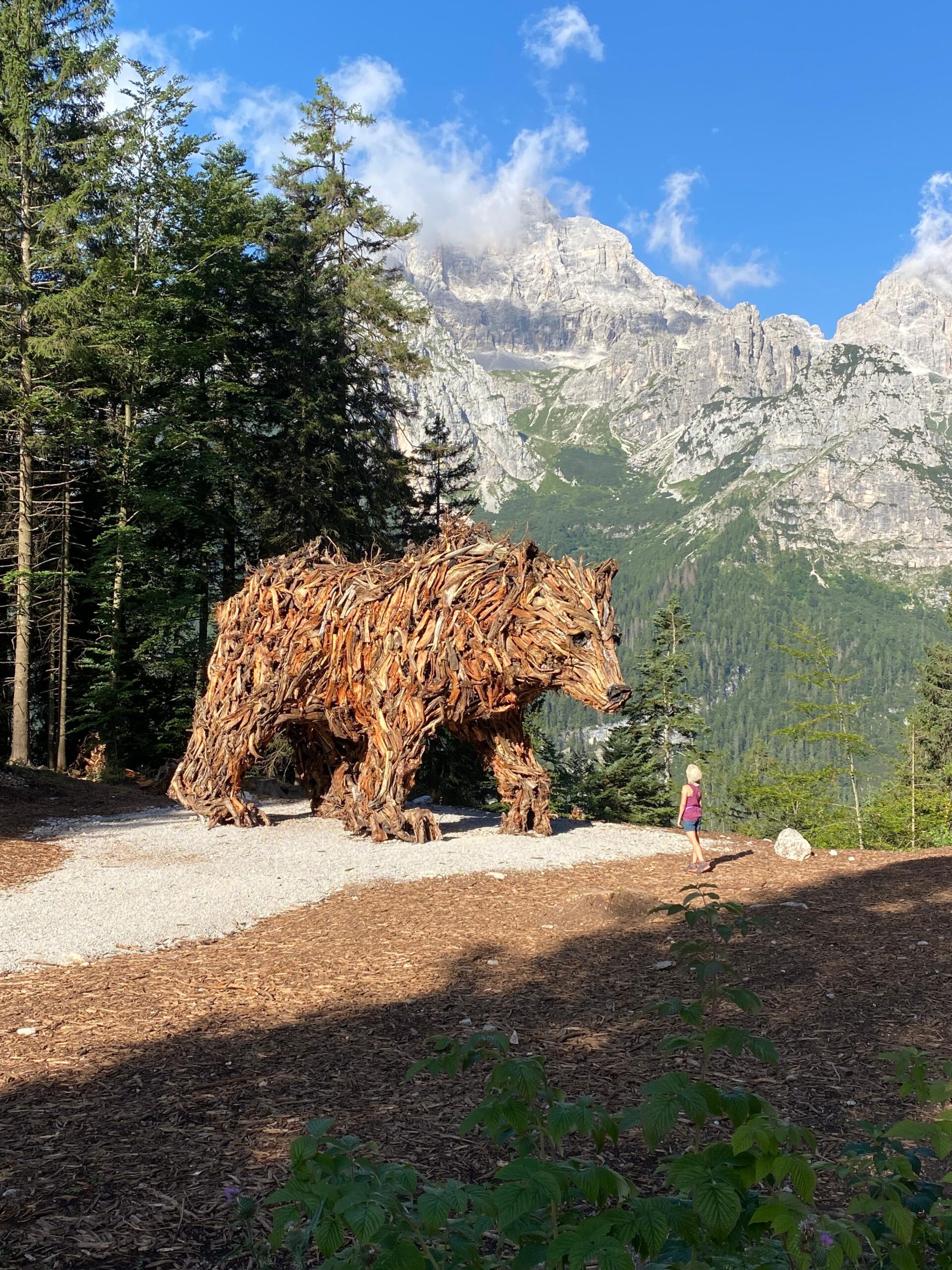 Tutti gli animali di Vaia da vedere in Trentino