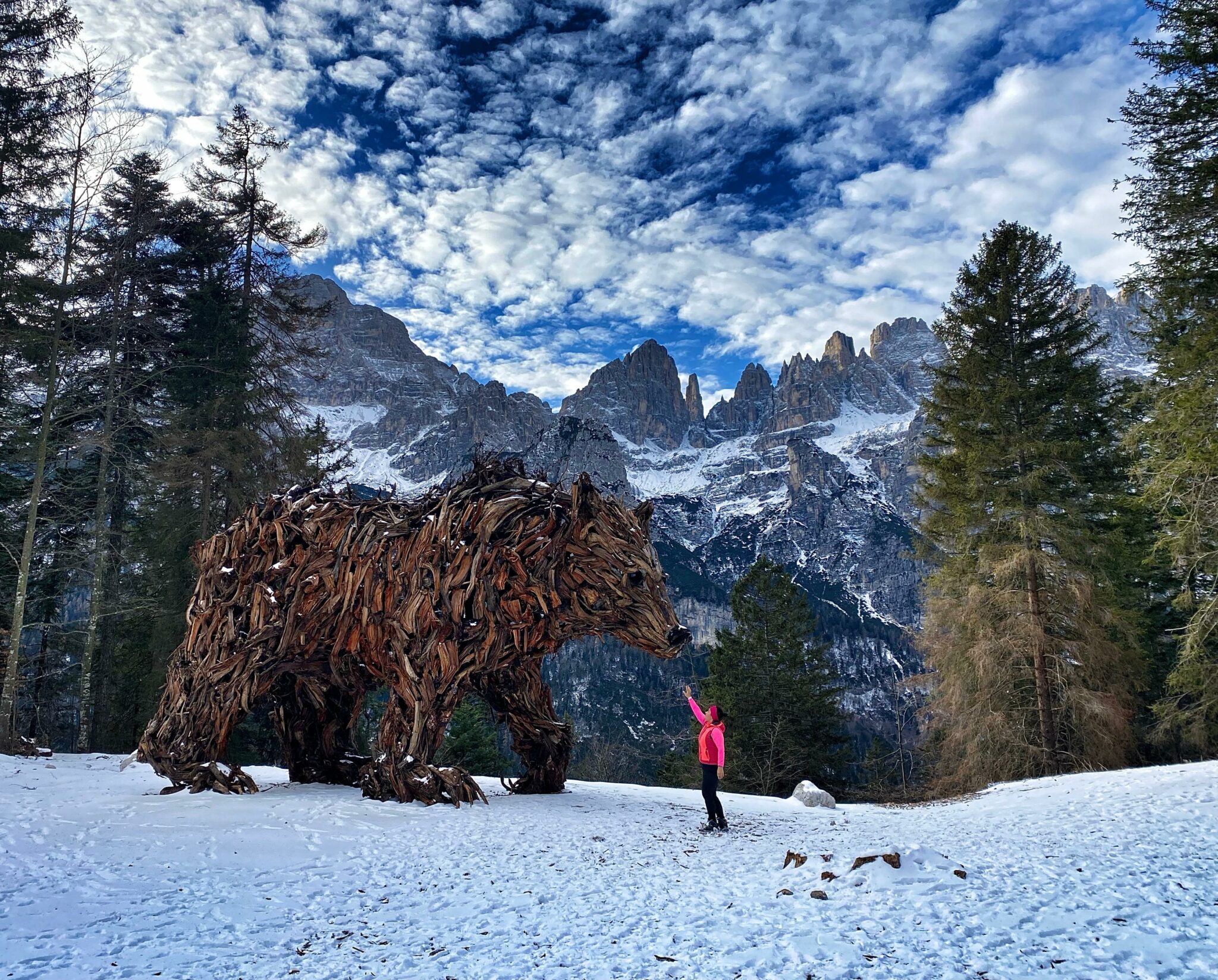 Dov'è e come arrivare all'Orso di Vaia del Pradel a Molveno in Trentino