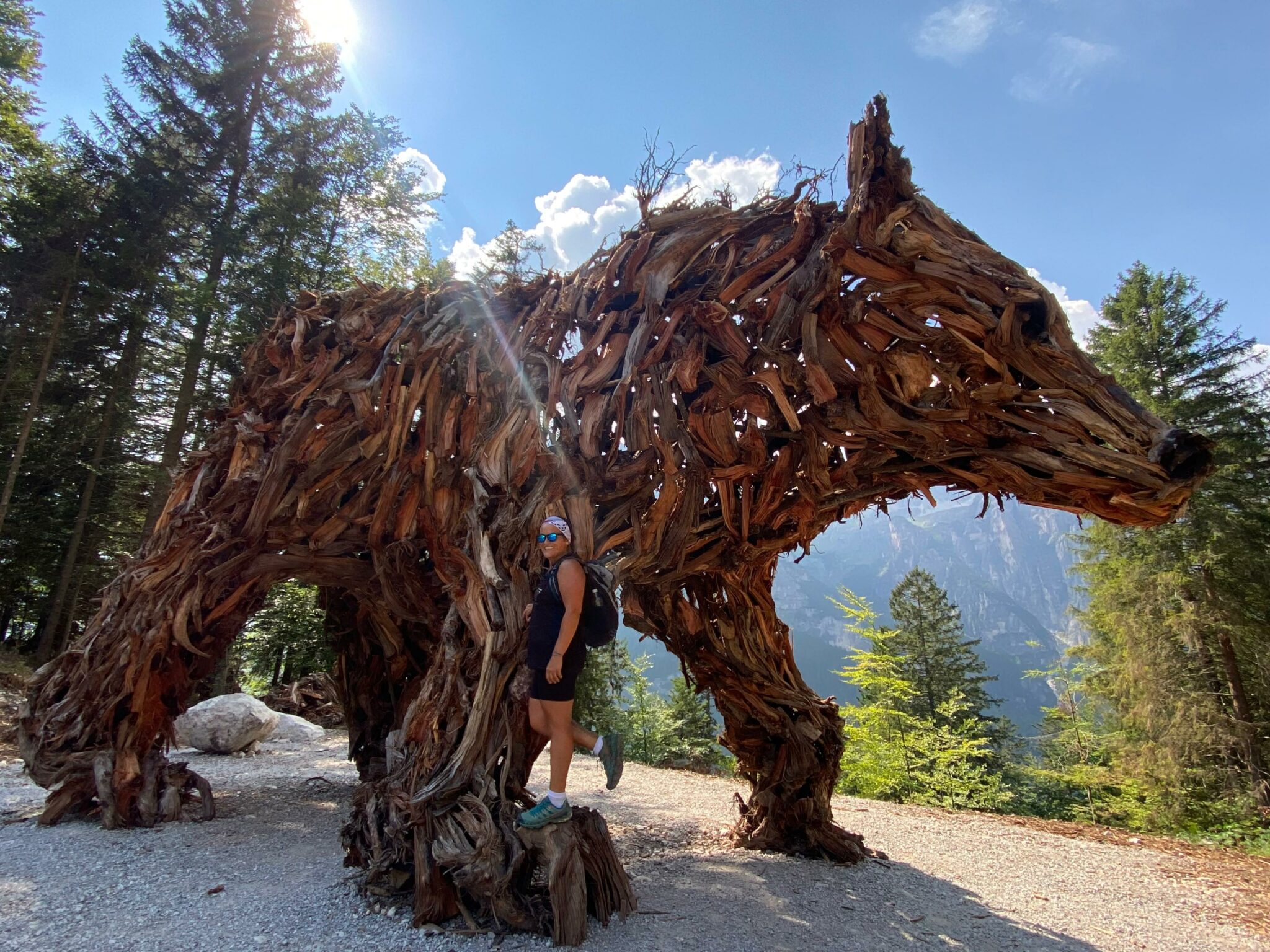 Dov'è e come arrivare all'Orso di Vaia del Pradel a Molveno in Trentino