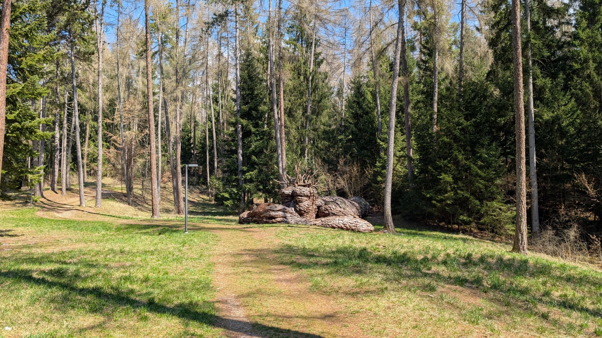 Il Parco Arte della pineta di Cavareno che devi assolutamente conoscere