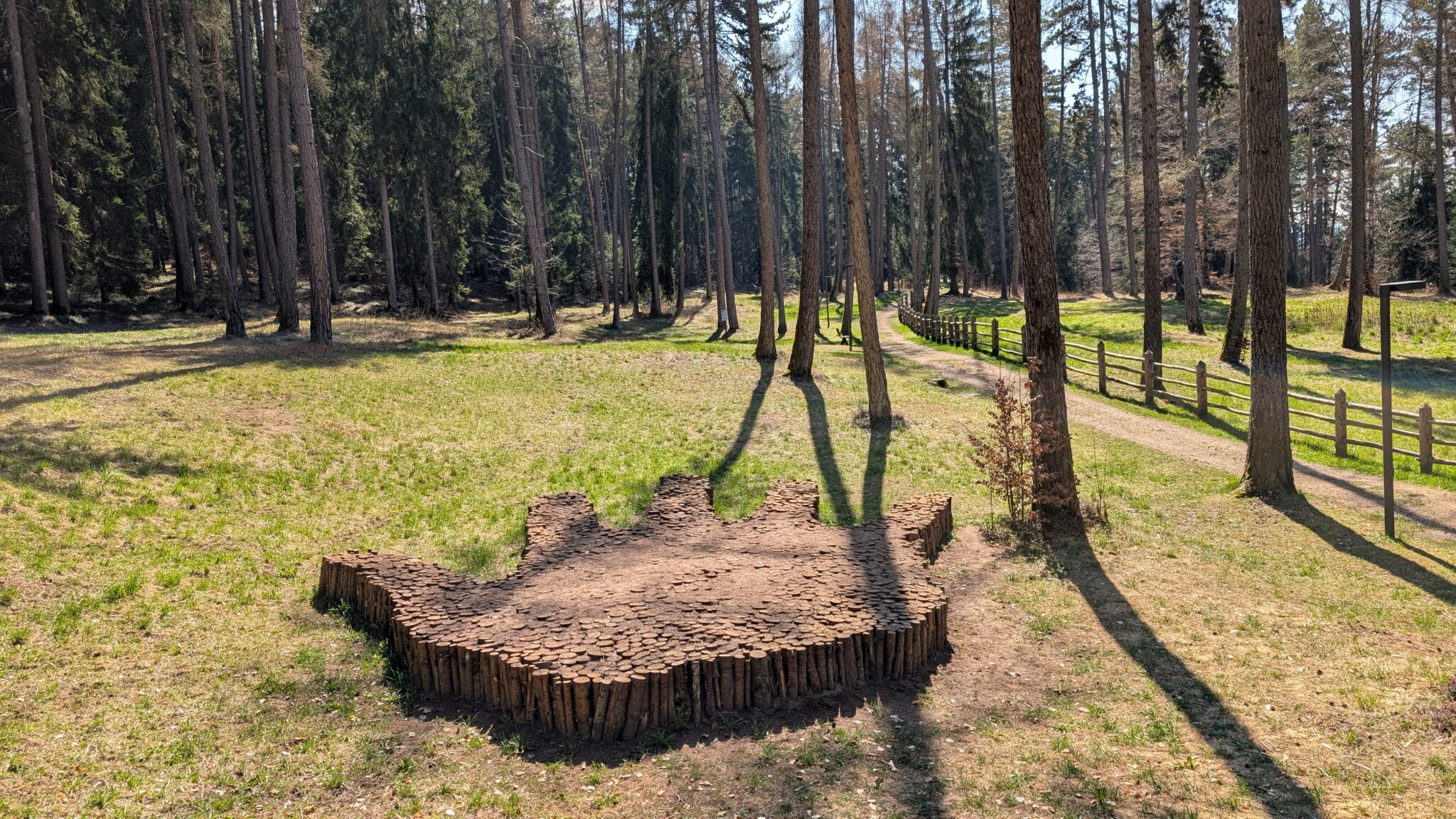 Il Parco Arte della pineta di Cavareno che devi assolutamente conoscere