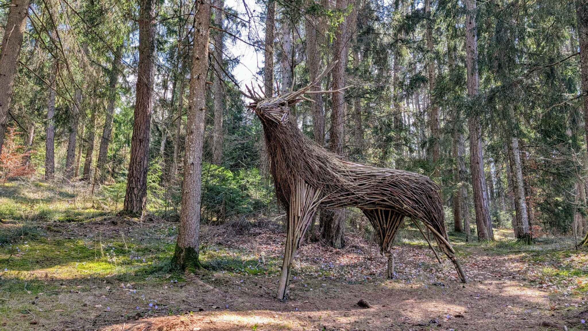 Il Parco Arte della pineta di Cavareno che devi assolutamente conoscere