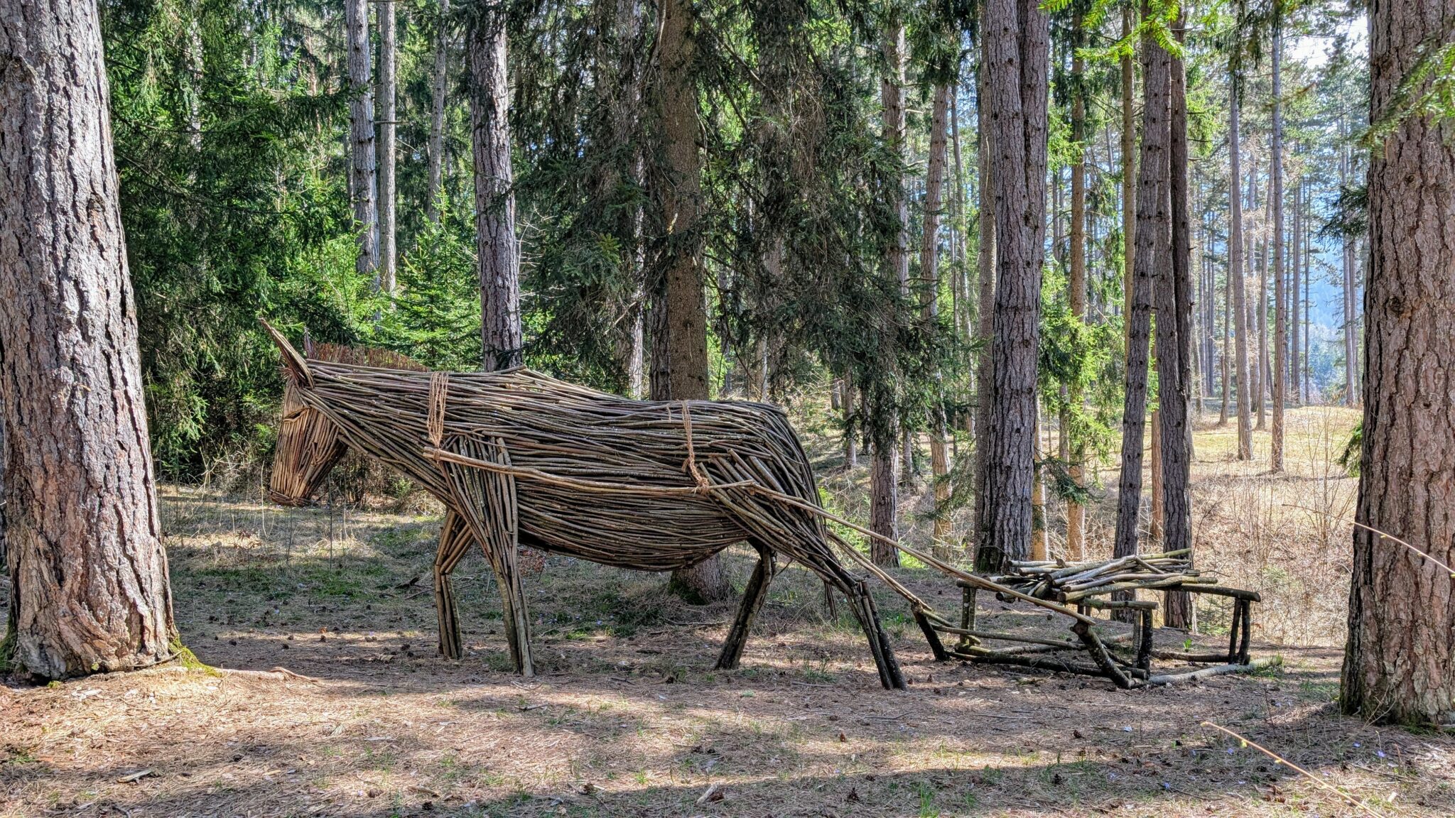 Il Parco Arte della pineta di Cavareno che devi assolutamente conoscere