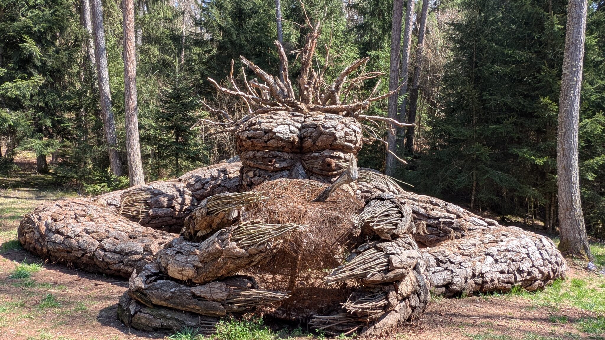 Il Parco Arte della pineta di Cavareno che devi assolutamente conoscere