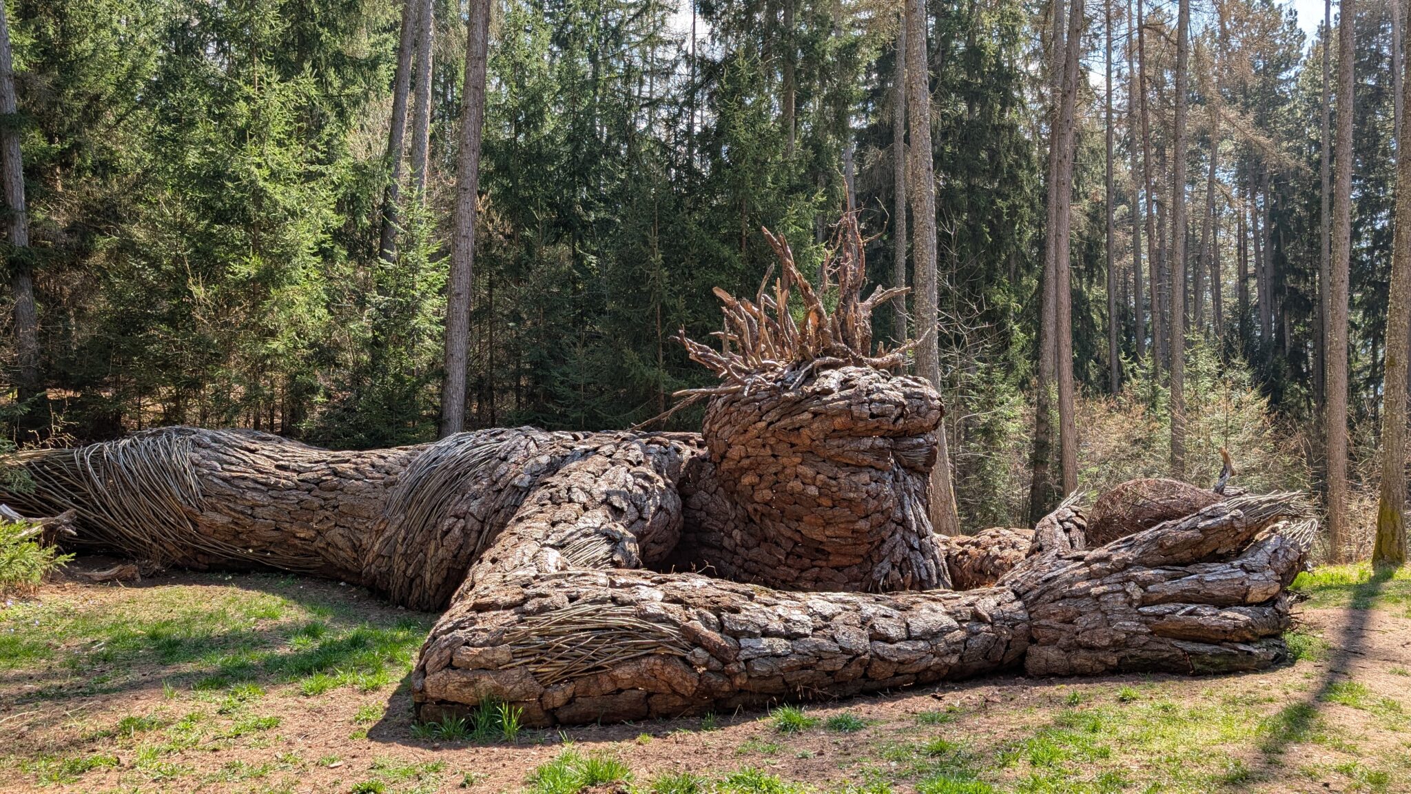 Il Parco Arte della pineta di Cavareno che devi assolutamente conoscere