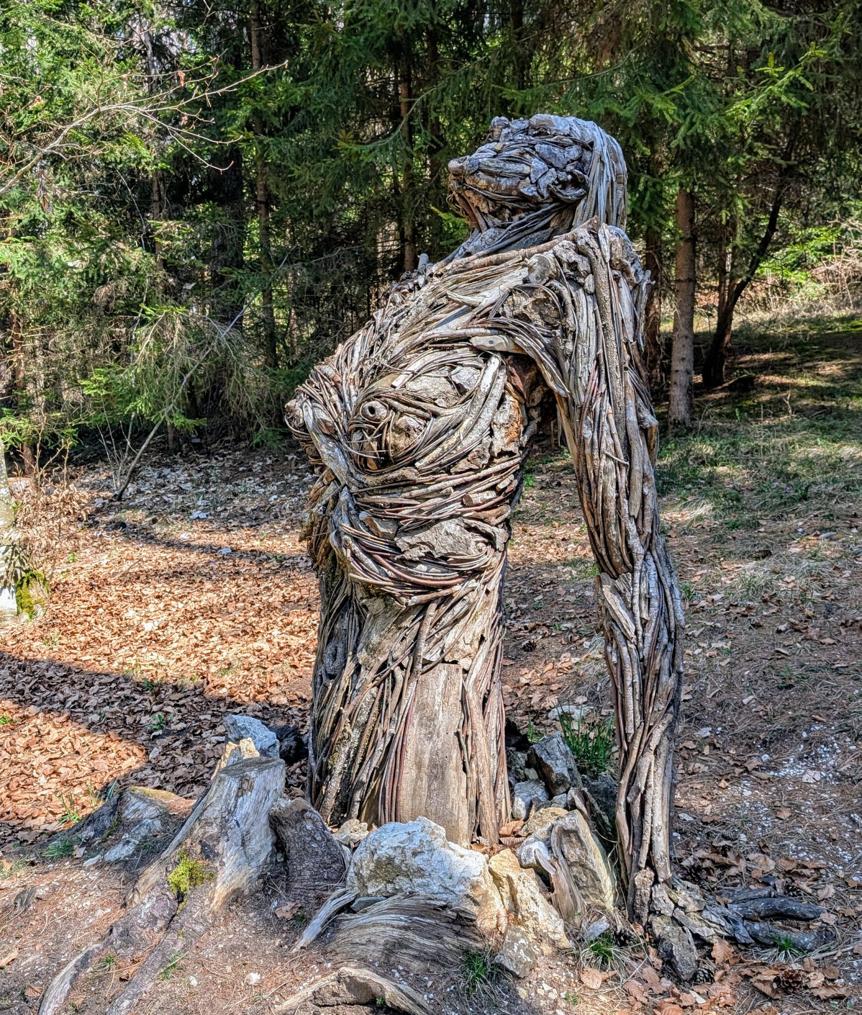 Il Parco Arte della pineta di Cavareno che devi assolutamente conoscere